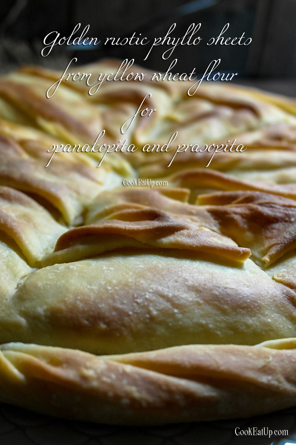 Golden rustic phyllo from yellow wheat flour ⋆ Cook Eat Up!